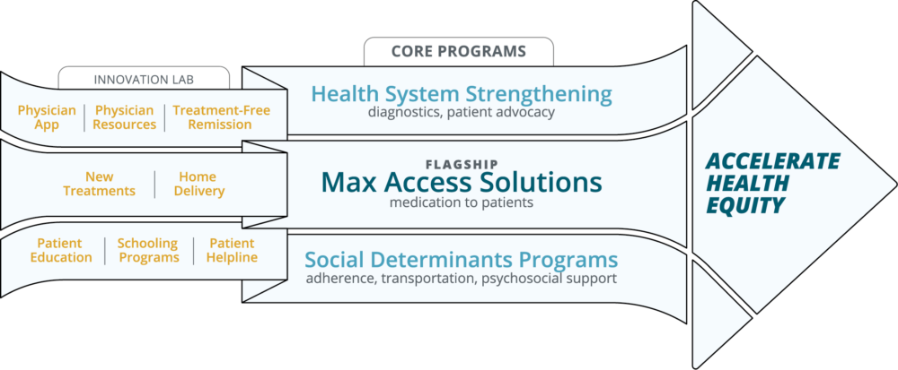 Our Strategy | The Max Foundation